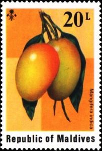 Stamp: Mangoes (Maldives(Tropical fruit) Mi:MV 571,Sn:MV 552,Yt:MV 529 ...