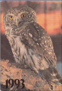 Pocket Calendar: Owl (Russia(Animals (Fauna)) Col:RUS-1993-Animal-001.02 A