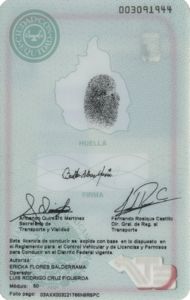 Functional Card: Mexico Drivers Licence (Driving Licences, Mexico ...