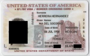 Functional Card: USA Border Crossing Visa Card (Personal Identification ...