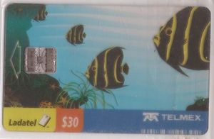 Carte téléphonique: Ladatel - Telmex - Peces (Test, Proof, Sample ...