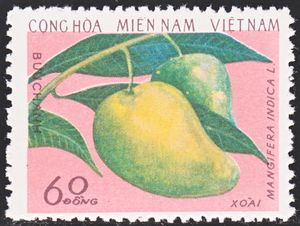 Stamp: Mango (Mangifera indica) (Vietcong, National Liberation Front ...