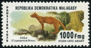 Stamp: Fossa (Cryptoprocta ferox) (Madagascar(Fauna 1979) Mi:MG 848,Sn ...