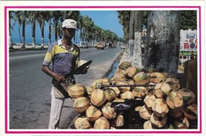 Tarjeta Postal: Coquero en el Malecón de Santo Domingo (República ...