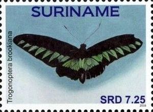 Stamp: Rajah Brooke's Birdwing (Trogonptera brookiana) (Suriname ...