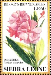 Stamp: Oleander (Nerium oleander) (Sierra Leone) (Botanical gardens of ...