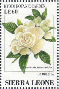 Stamp: Gardenia (Gardenia jasminoides) (Sierra Leone(Botanical gardens ...