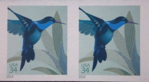 Stamp: Broad-billed Hummingbird (Cynanthus latirostris) (United States ...