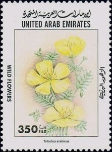 Stamp: Tribulus arabicus (United Arab Emirates) (Flowers) Mi:AE 607,Sn ...
