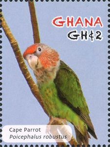 Stamp: Cape Parrot Poicephalus robustus (Ghana) (Parrots) Mi:GH 4143,Sn ...