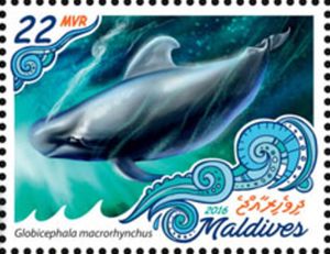 Stamp: Short-finned Pilot Whale (Globicephala macrorhynchus) (Maldives ...