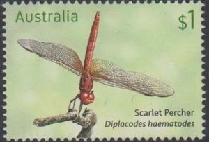 Stamp: Scarlet Percher (Diplacodes haematodes) (Australia(Stamp ...