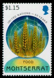 Stamp: UN50 - Food (Montserrat(50th Anniversary of United Nations) Mi ...