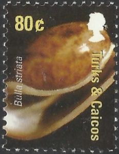 Stamp: Common Atlantic Bubble (Bulla striata) (Turks and Caicos Islands ...