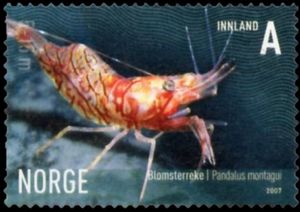 Stamp: Aesop Shrimp (Pandalus montagui) (Norway(Marine Life) Mi:NO 1625 ...
