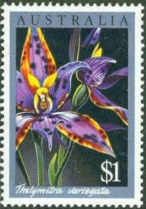 Stamp: Queen of Sheba Orchid (Thelymitra variegata) (Australia(Native ...