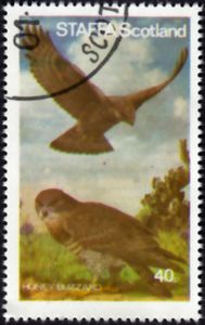 Stamp: Birds of Prey - Honey Buzzard (Scotland, Staffa: Cinderella ...