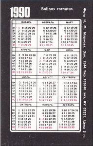 Pocket Calendar: Bolinus cornutus (Soviet Union, USSR(Shells) Col:SU ...