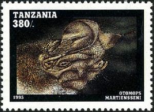 Stamp: Large-eared Giant Mastiff Bat (Otomops martiensseni) (Tanzania ...