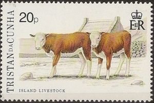 Stamp: Cattle (Tristan da Cunha(Farm Animals) Mi:TA 568,Sn:TA 555,Yt:TA 545,Sg:TA 573