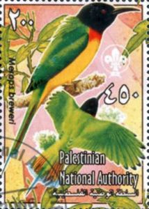 Stamp: Black-headed Bee-eater (Merops breweri) (Palestinian Territory ...