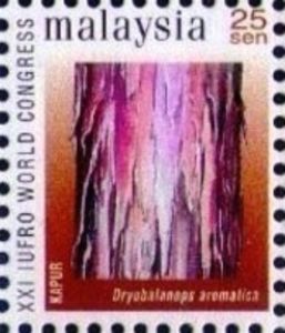 Stamp: Dryobalanops aromatica (Malaysia(Union of Forestry Research) Mi ...