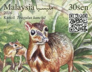 Stamp: Lesser Mousedeer (Tragulus kanchil) (Malaysia(Seven Wonders of ...