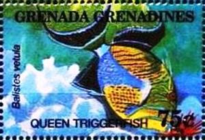 Stamp: Queen triggerfish (Balistes vetula) (Grenada Grenadines(Fish ...