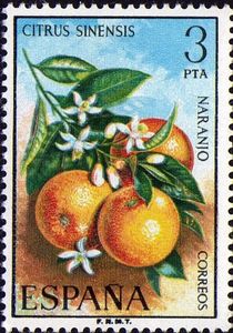 Stamp: Oranges (Spain(Flora (1975)) Mi:ES 2148,Sn:ES 1881,Yt:ES 1900,Sg ...