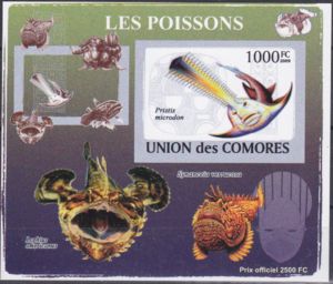 Stamp: Largetooth Sawfish (Pristis microdon) (Comoros) (Fish (2009:2 ...