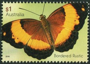 Stamp: Bordered Rustic (Cupha prosope) (Australia(Beautiful Butterflies ...