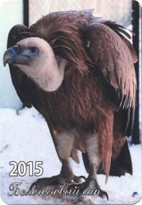 Pocket Calendar: Griffon Vulture (Russia(Ivanovo Zoo) Col:RUS-2015-Zoo ...