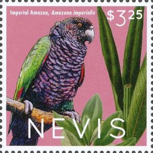 Stamp: Imperial Amazon (Amazona imperialis) (Nevis(Parrots of the ...