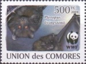 Stamp: Livingstone's Flying Fox (Pteropus livingstonii) (Comoros(WWF ...