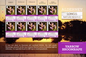 Stamp: Yarrow Broomrape (Yarrow broomrape) (Alderney(Longis Nature ...