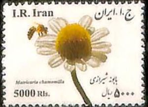 Stamp: Flora Of Iran 2017 Series (Iran) (Flora of Iran) Sn:IR 3146,Yt ...