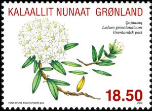 Stamp: Bog Labrador tea (Ledum groenlandicum) (Greenland(Flora 2012) Mi ...