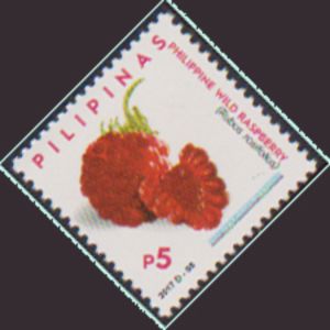Stamp: Philippine Wild Raspberry (Rollinia deliciosa) Sapinit ...