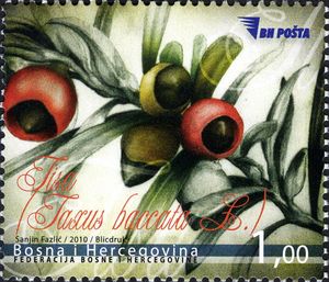 Stamp: Yew tree (Taxus baccata) (Bosnia and Herzegovina(Flora 2010) Mi ...