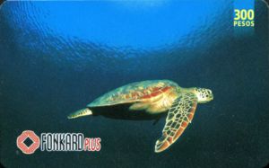 Phonecard: Turtle (PLDT - Philippine Long Distance Telephone Company ...