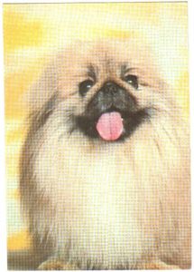 Pocket Calendar: Pikines (Ukraine(Dogs) Col:UA-1992-Dog-002.12