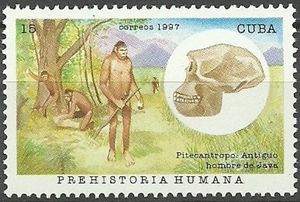 Stamp: Pithecanthropus (Java man) (Cuba) (Hominids) Mi:CU 4066,Sn:CU ...