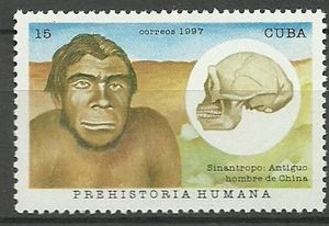Stamp: Sinanthropus (Peking man) (Cuba(Hominids) Mi:CU 4067,Sn:CU 3879 ...