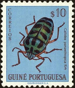 Stamp: Shield-backed Bug (Callidea panaethiopica) (Portuguese Guinea ...