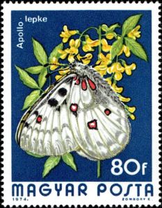 Stamp: Apollo (Parnassius apollo) (Hungary(Butterflies (1974)) Mi:HU ...
