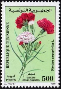 Stamp: Carnation (Tunisia(Flowers of Tunisia) Mi:TN 1432A,Sn:TN 1193,Yt ...