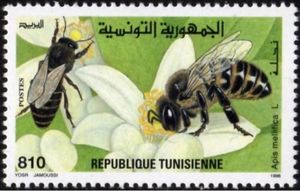 Stamp: European Honey Bee (Apis mellifera) (Tunisia(Insects) Mi:TN 1332 ...