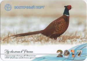 Pocket Calendar: Pheasant (Russia(Animals) Col:RUS-2017-Animal-010.03