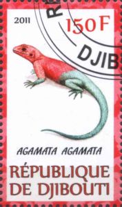 Stamp: Agamata Agamata (Djibouti: Illegal Stamps(African Fauna 2011 ...