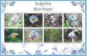 Stamp: Blue Poppy : National Flower Of Bhutan (Bhutan(Blue Poppy ...